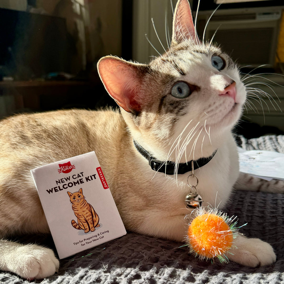 Kiko New Cat Welcome Kit – Kikkerland Design Inc