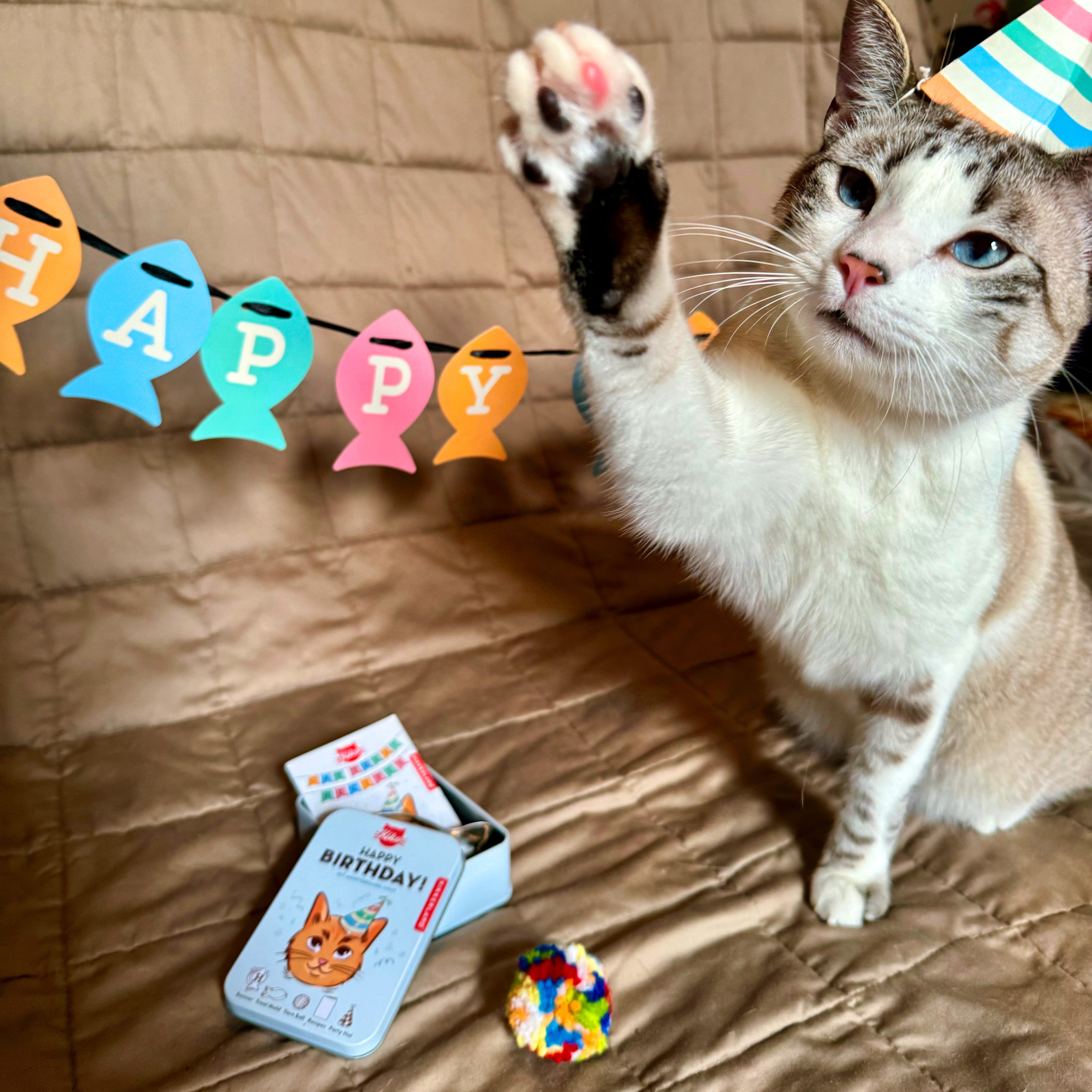 Kiko Cat Happy Birthday Kit – Kikkerland Design Inc