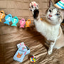 Kiko Cat Happy Birthday Kit – Kikkerland Design Inc