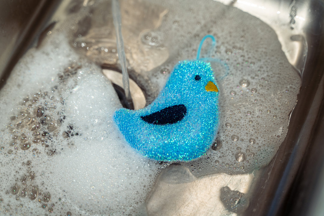 Songbird Scrubber Set – Kikkerland Design Inc