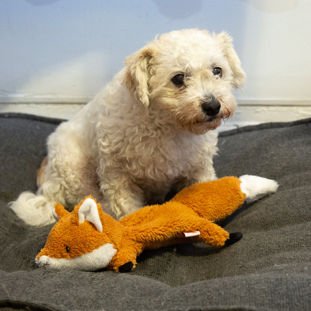 Kobe Flying Fox Toy – Kikkerland Design Inc