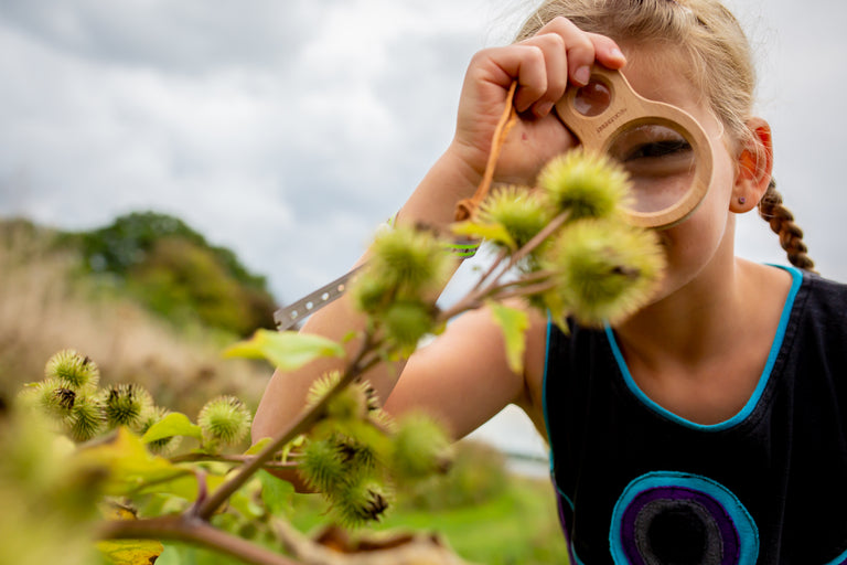 Huckleberry Morse Code Light – Kikkerland Design Inc