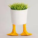 Large Duck Feet Planter – Kikkerland Design Inc