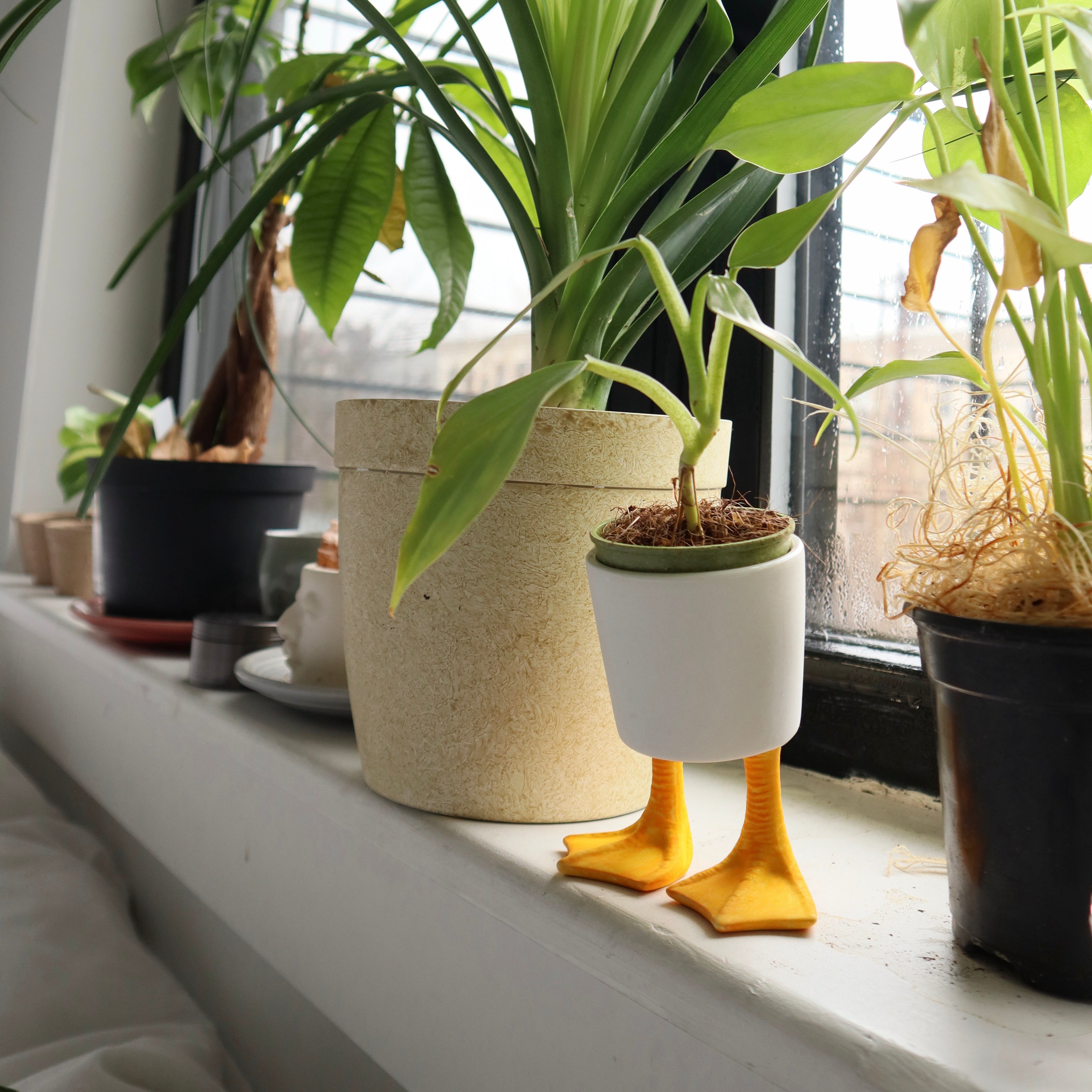Small Duck Feet Planter – Kikkerland Design Inc