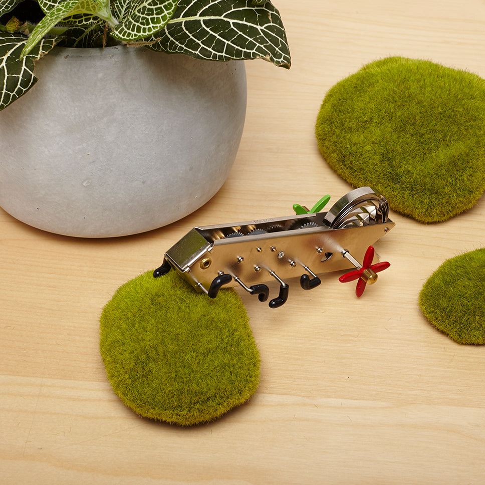 Bonga – Kikkerland Design Inc