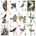 3-D Bird playing cards – Kikkerland Design Inc
