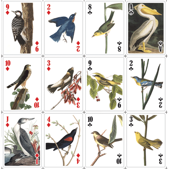 3-D Bird playing cards – Kikkerland Design Inc