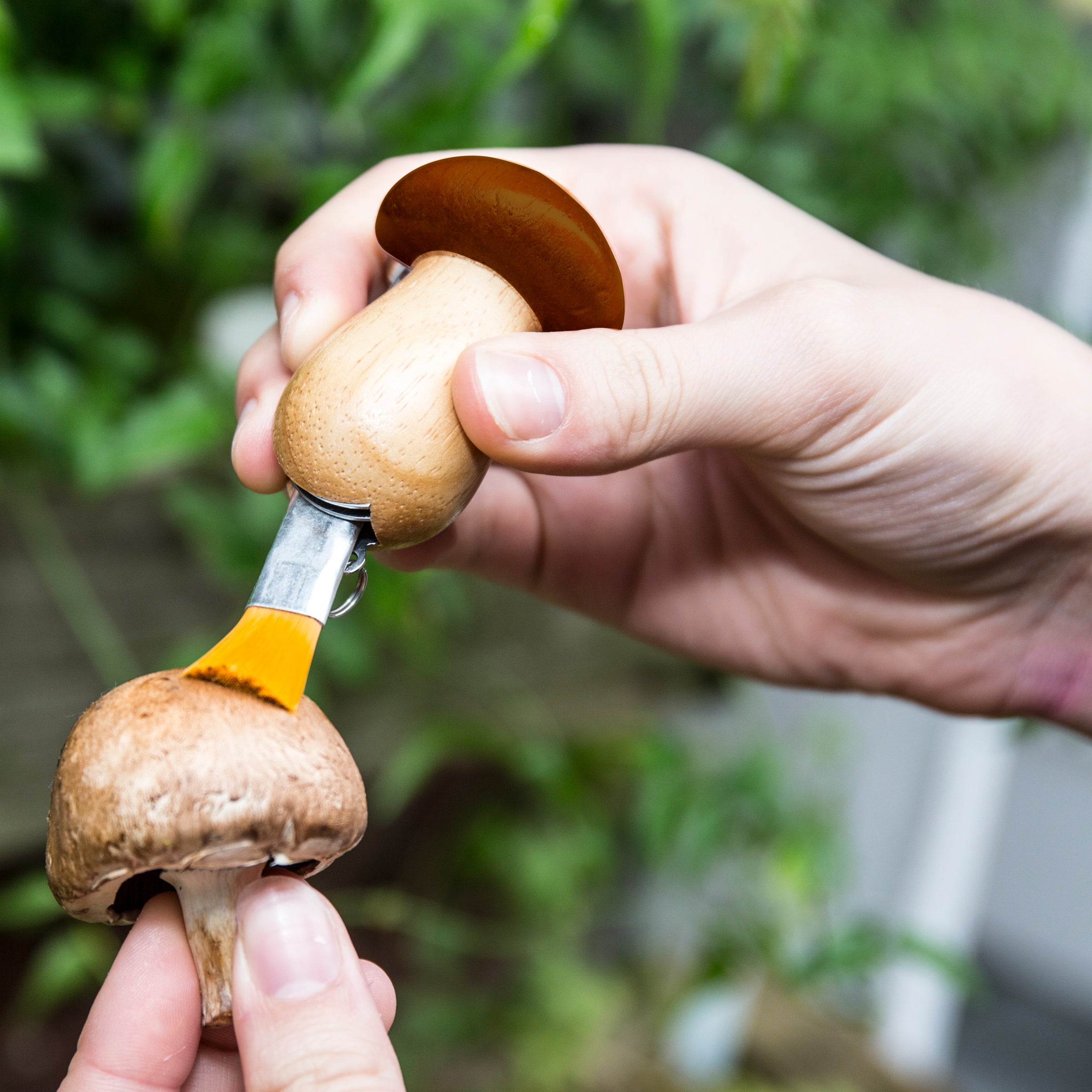 Mushroom Tool Keychain – Kikkerland Design Inc