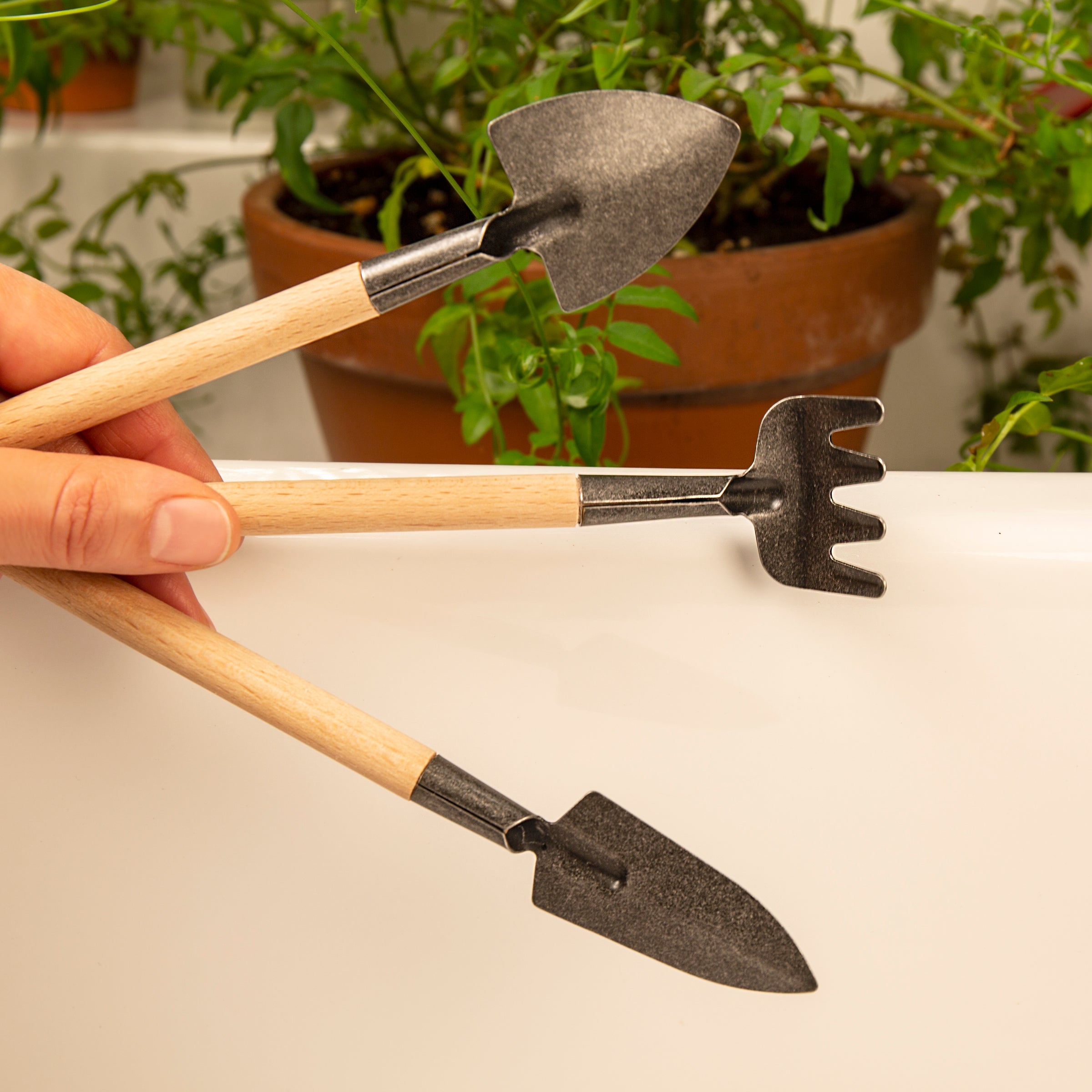 Mini Garden Tool Set – Kikkerland Design Inc