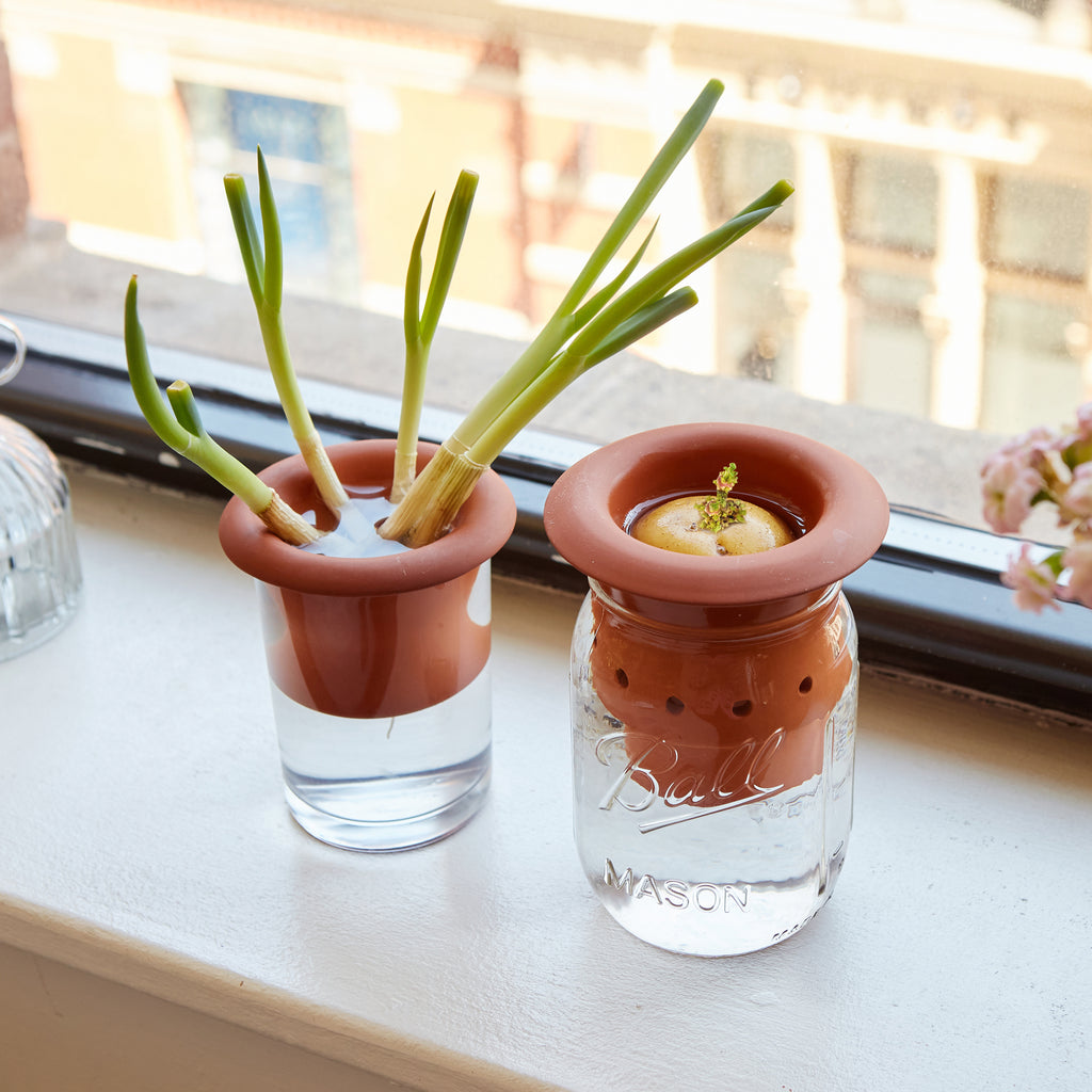 Diy Terracotta Diffuser