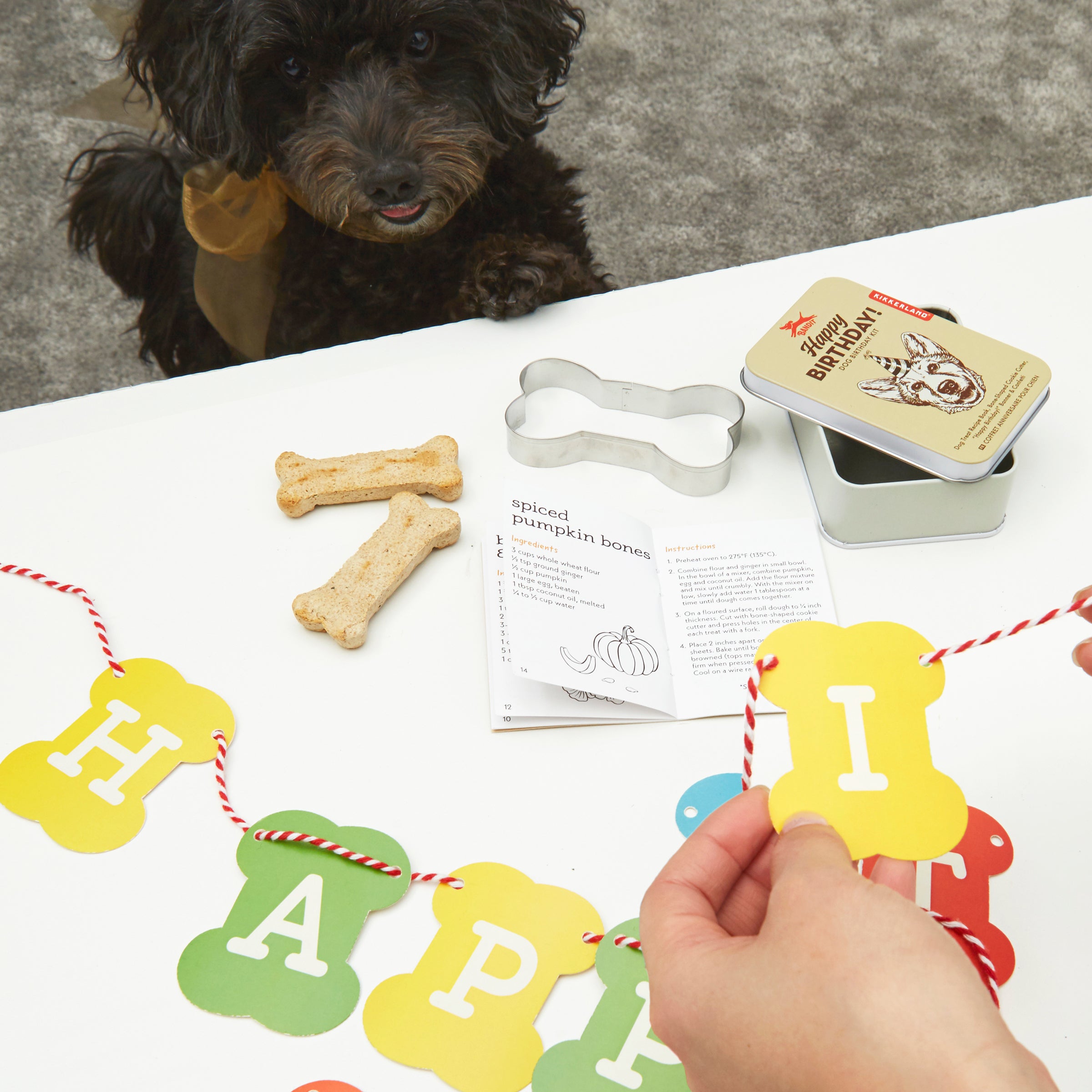 Kobe Dog Birthday Kit – Kikkerland Design Inc