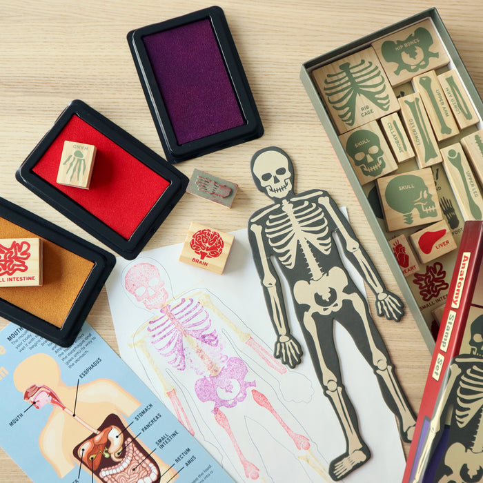 DIY Human Body Anatomy Stamp Set, 21 Pc — Kikkerland Design Inc