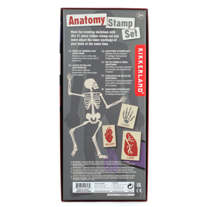 DIY Human Body Anatomy Stamp Set, 21 Pc — Kikkerland Design Inc