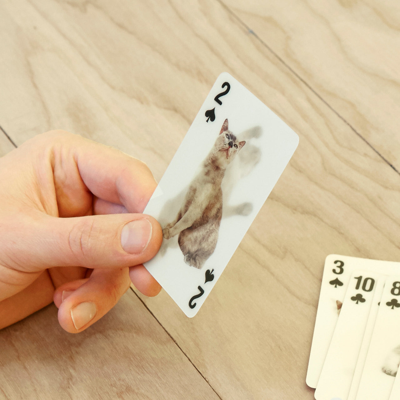 Cat 3D Playing Cards – Kikkerland Design Inc