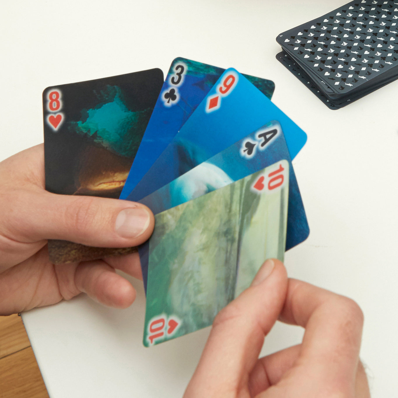 Playing Cards Shark — Kikkerland Design Inc