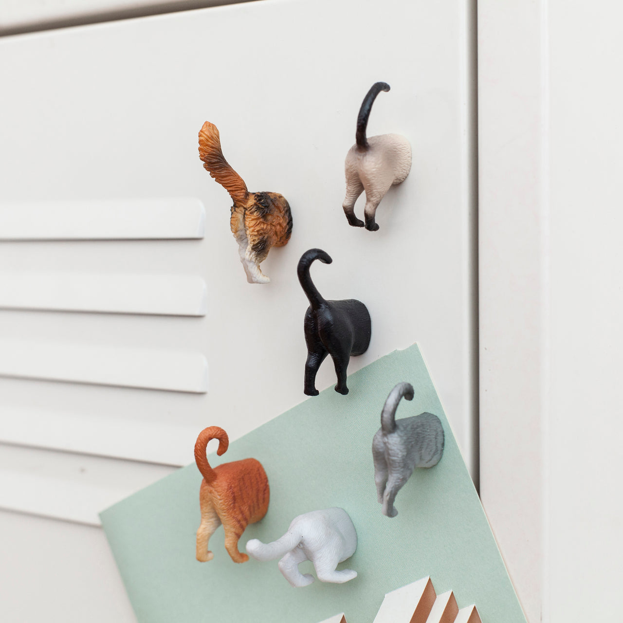 Cat Butt Magnets – Kikkerland Design Inc