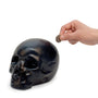 Skull Money Bank – Kikkerland Design Inc