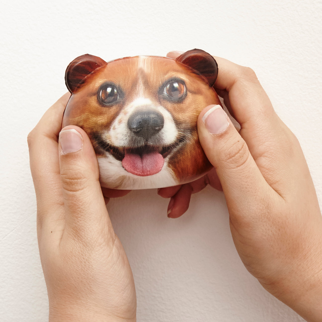 Feeling Ruff? Stress Balls – Kikkerland Design Inc